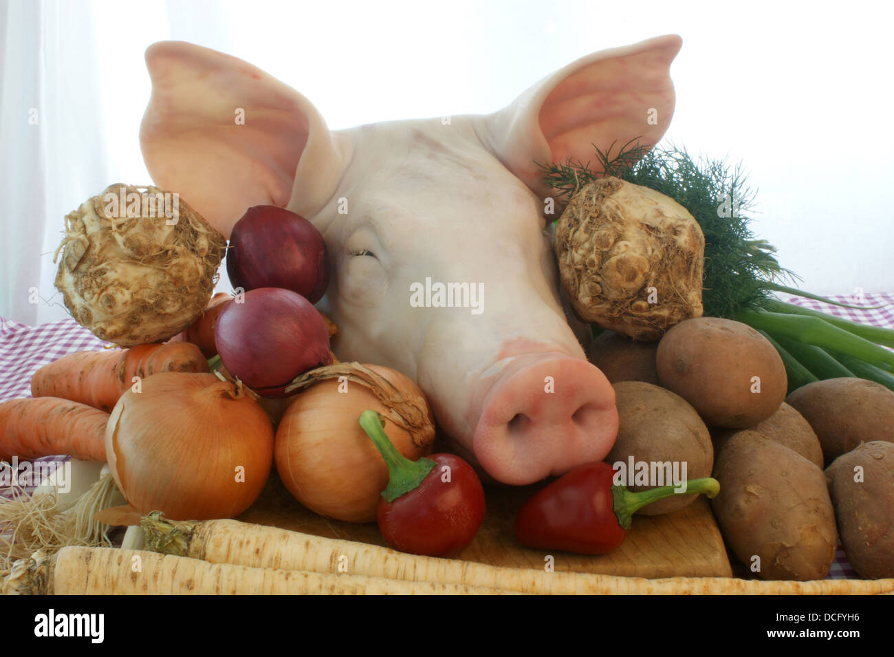 pig's head with fresh organic vegetable from the garden Stock Photo - Alamy