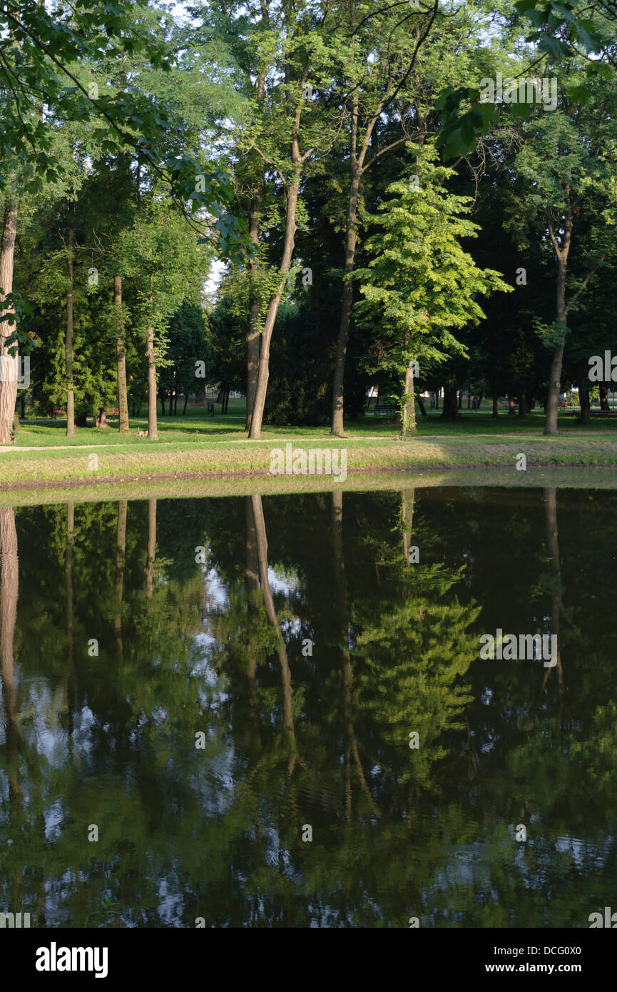 Tree trees grass mirror hi-res stock photography and images - Alamy