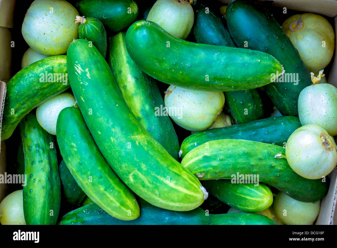Ready for shipment hi-res stock photography and images - Alamy