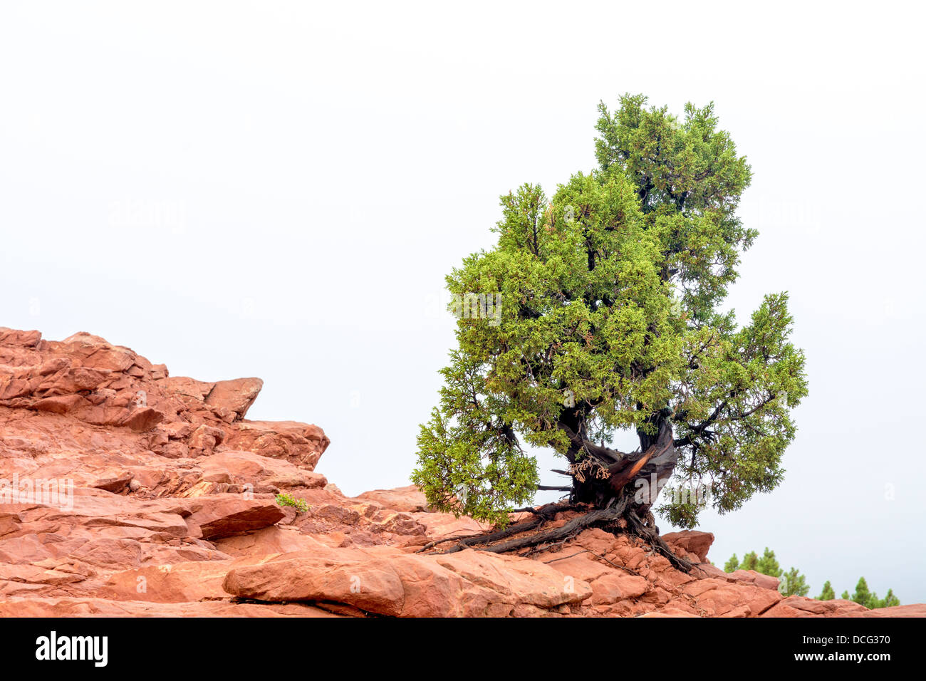 Nature at its top hi-res stock photography and images - Alamy