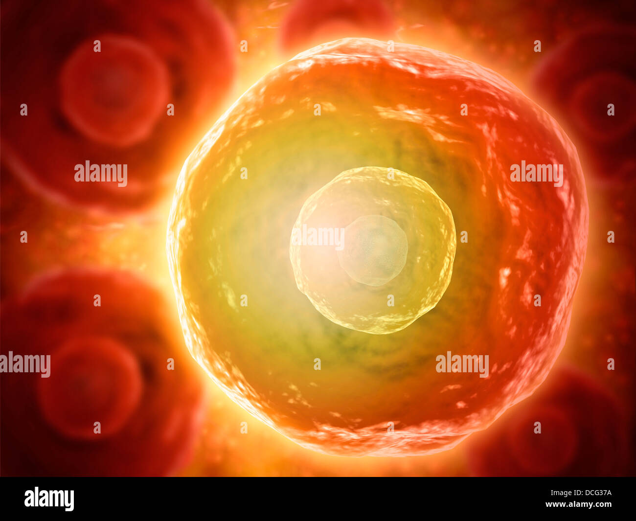 Microscopic cells hi-res stock photography and images - Alamy