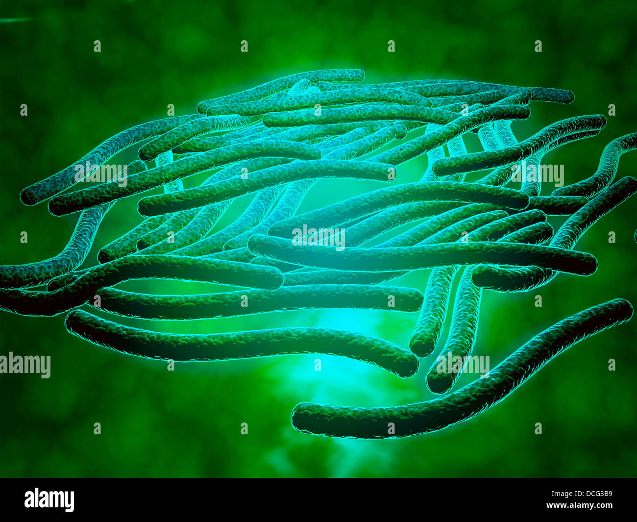Legionella pneumophila hi-res stock photography and images - Alamy