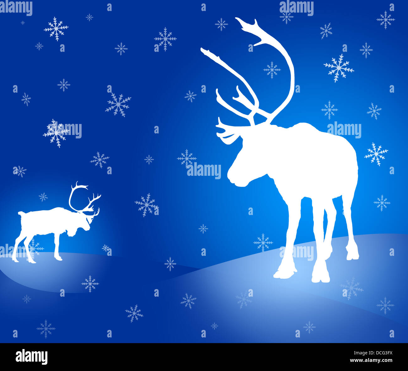 Two caribou reindeer Christmas card Stock Photo - Alamy