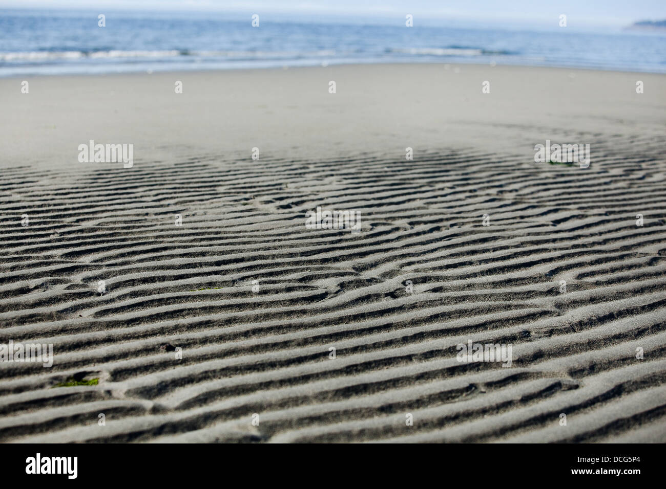 Bar texture hi-res stock photography and images - Alamy