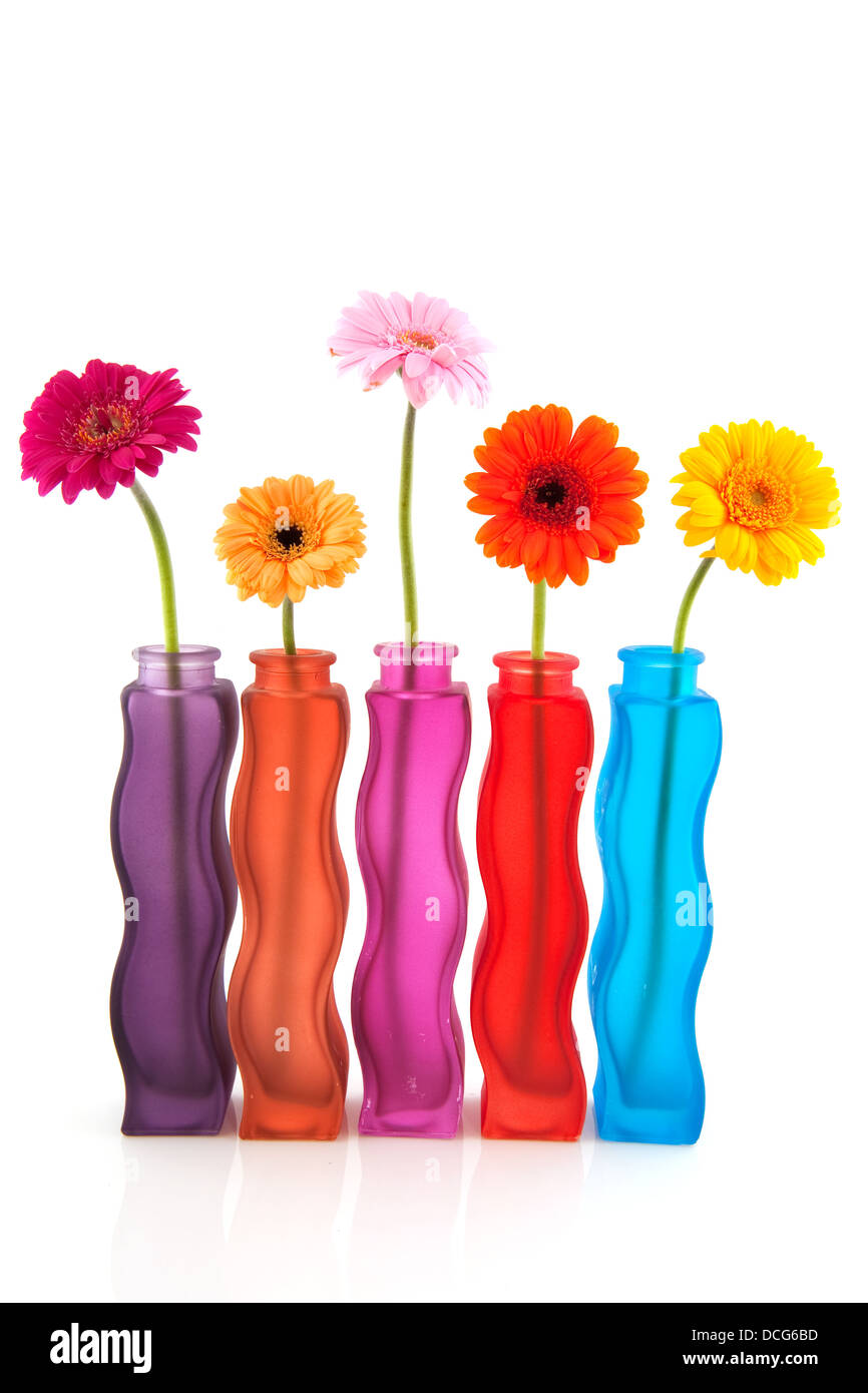 Five flowers Cut Out Stock Images & Pictures - Alamy