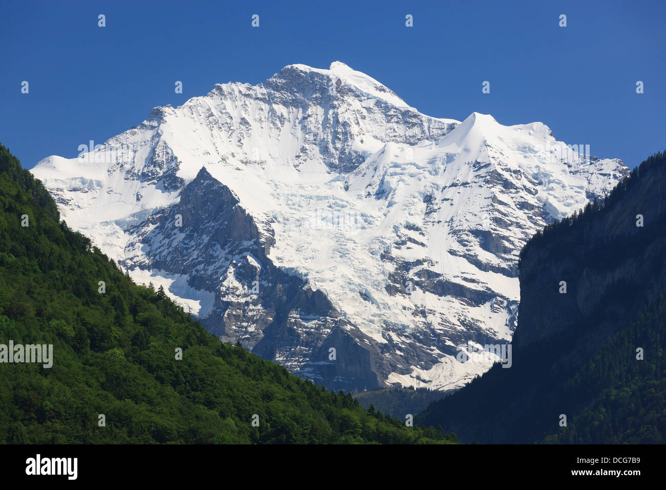 View on the Jungfrau, highest peak in the Swiss Alps in Bernese ...