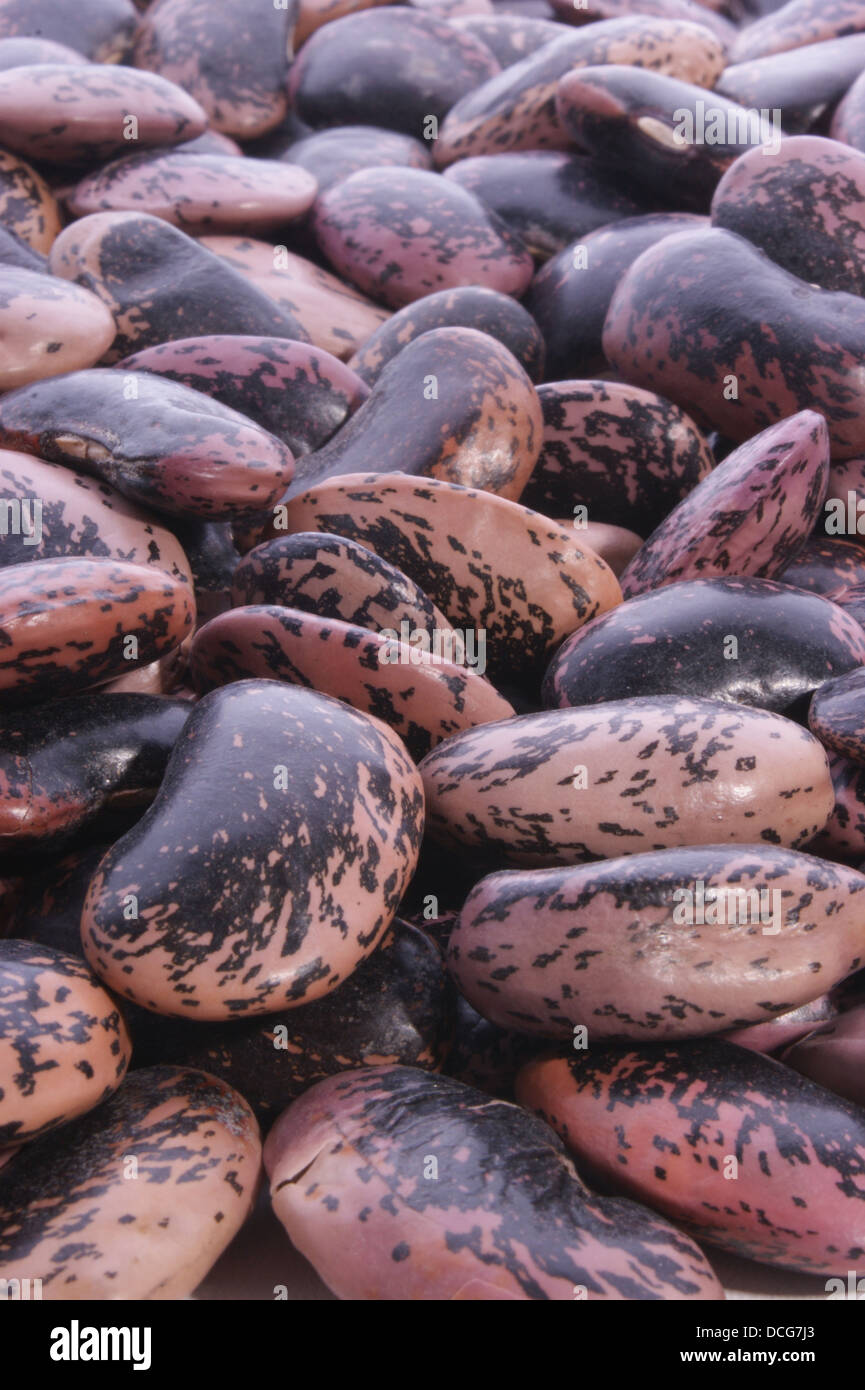 some raw cranberry beans ready to cook Stock Photo - Alamy