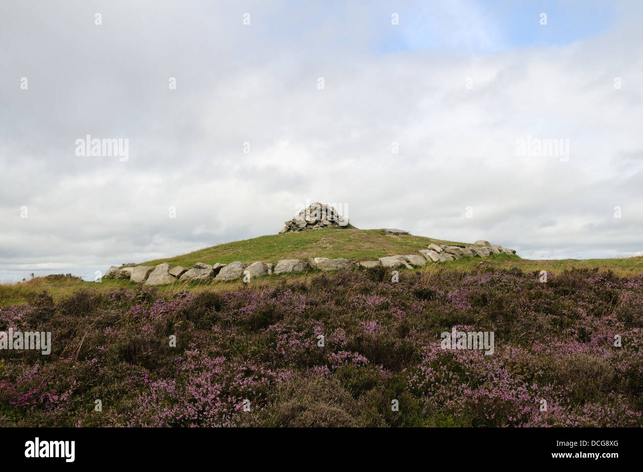 Bronze Age Burial Mound at Penycloddiau Hill Fort Flintshire ...