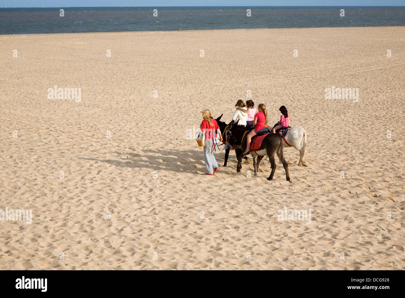 Beach Donkey Rides High Resolution Stock Photography and Images - Alamy