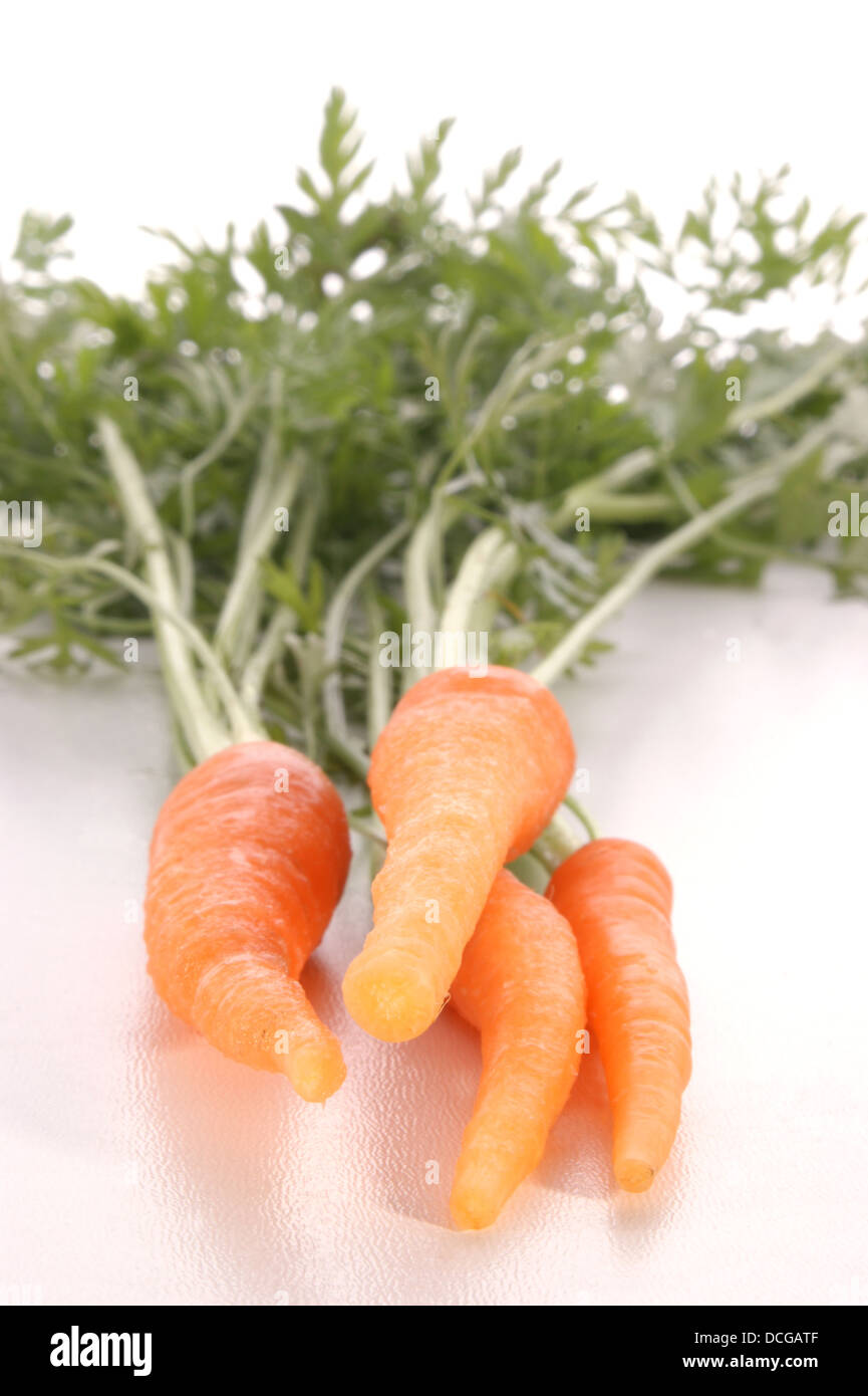 some healthy and fresh carrots from the garden Stock Photo - Alamy