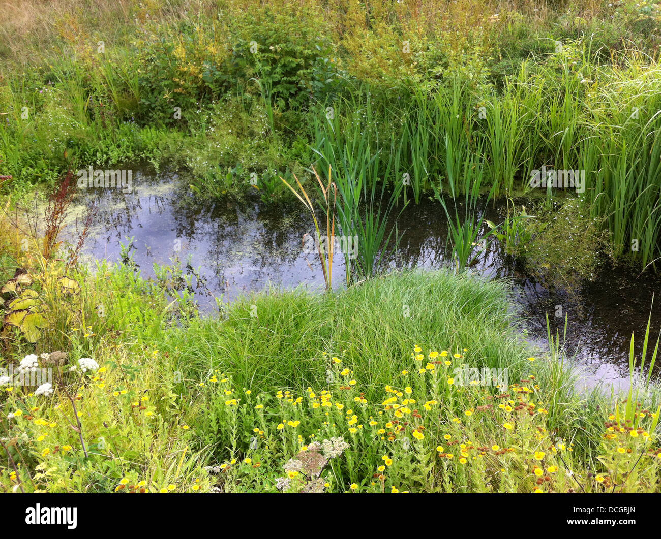 Tony pond hi-res stock photography and images - Alamy