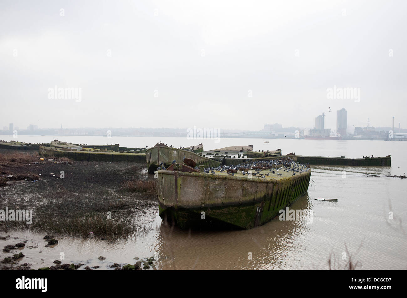 Concrete barges which were used in World War 2 are pictured on the ...