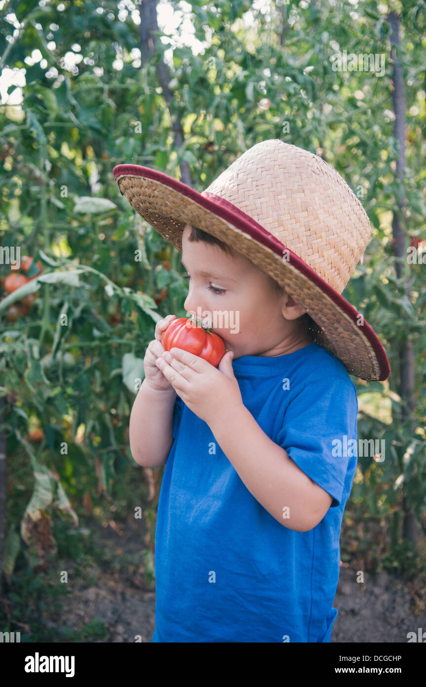 Cute little boy eating tomato Stock Photo - Alamy