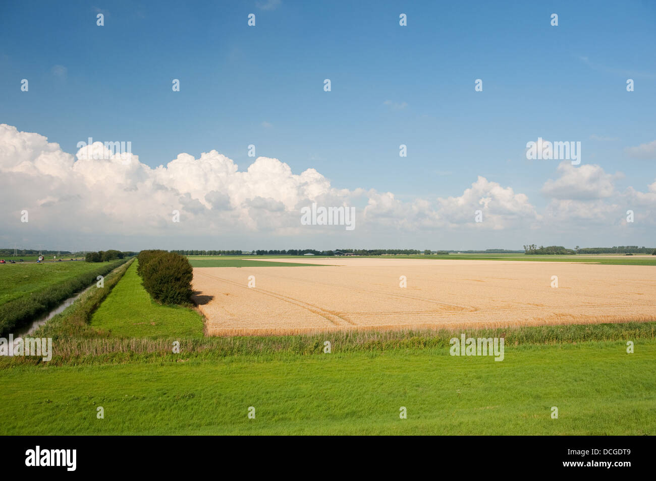 Flat wide landscape hi-res stock photography and images - Alamy
