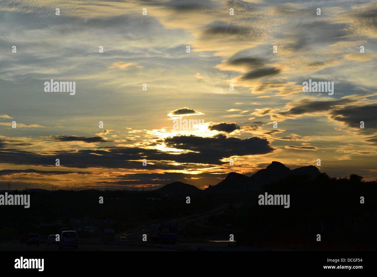 Nature's colour codes!!! Stock Photo - Alamy