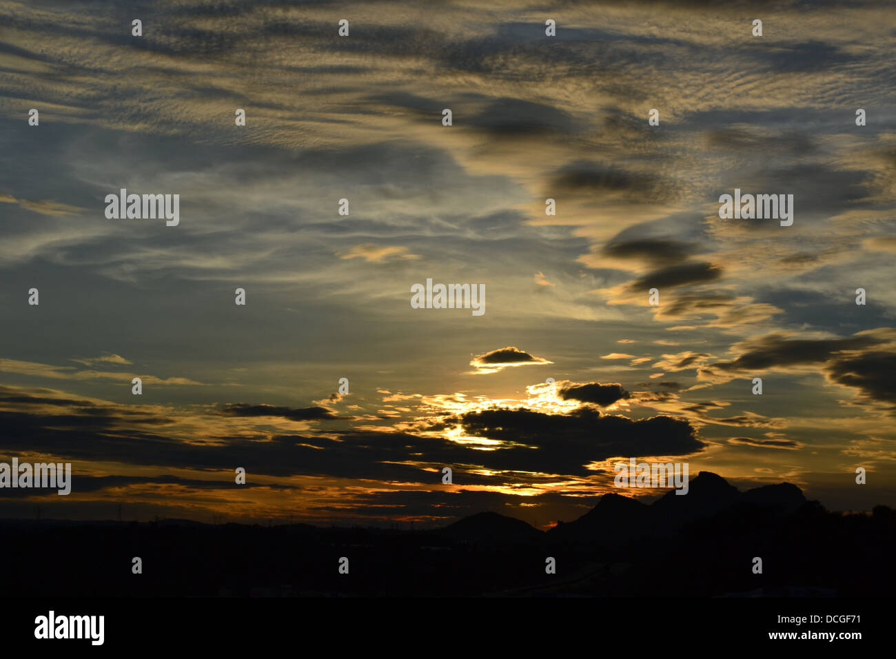 Nature's colour codes!!! Stock Photo - Alamy