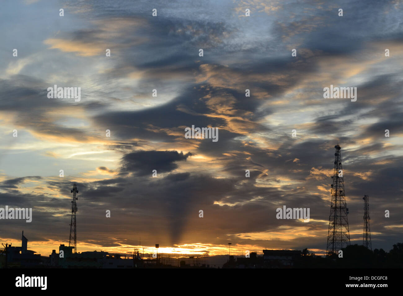 Nature's colour codes!!! Stock Photo - Alamy