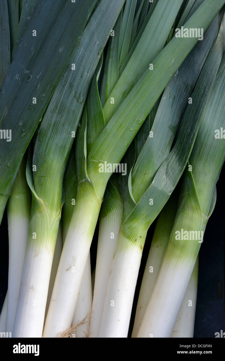 Leek at the market Stock Photo - Alamy