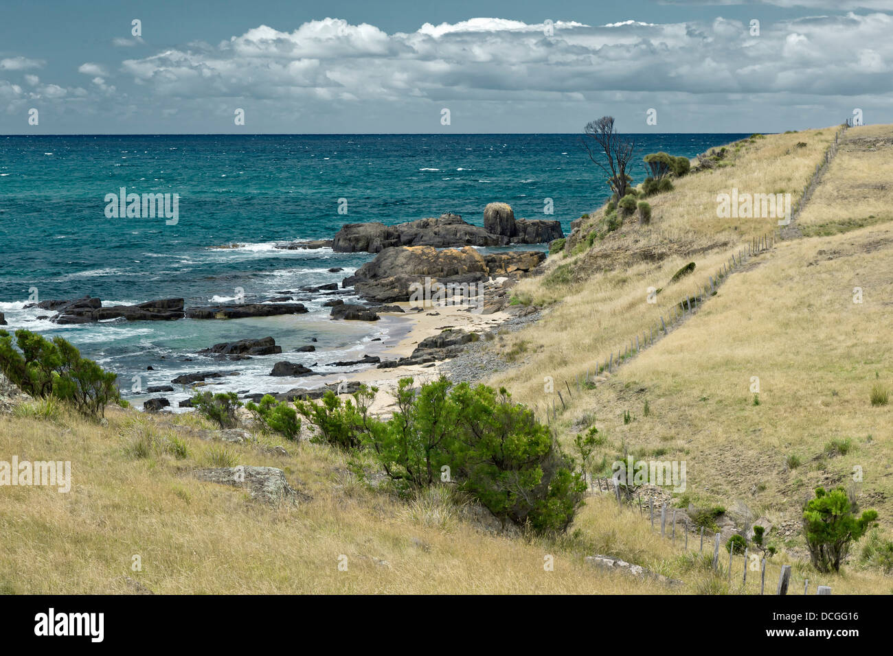 Aussie australia hi-res stock photography and images - Alamy