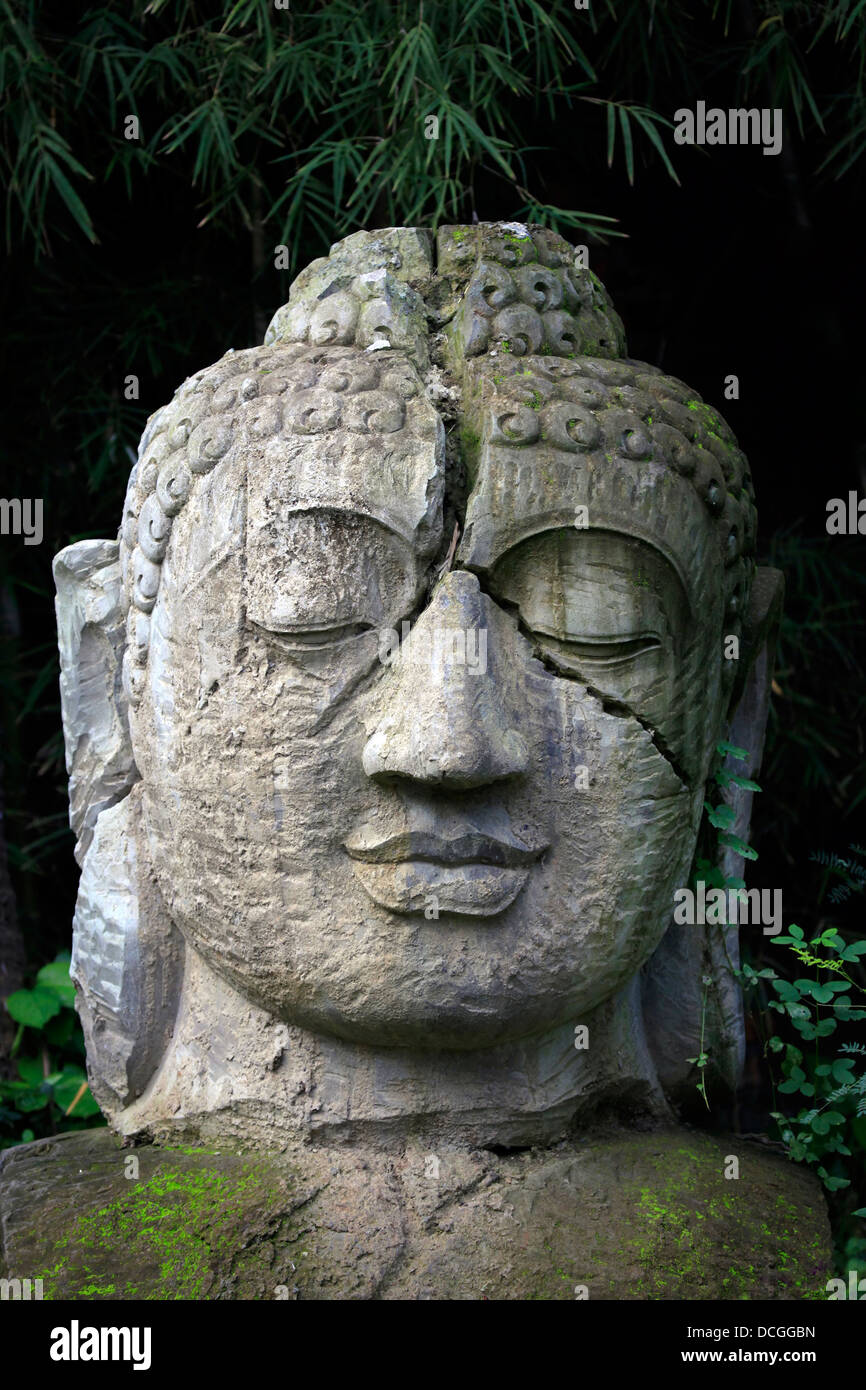 Buddah china hi-res stock photography and images - Alamy