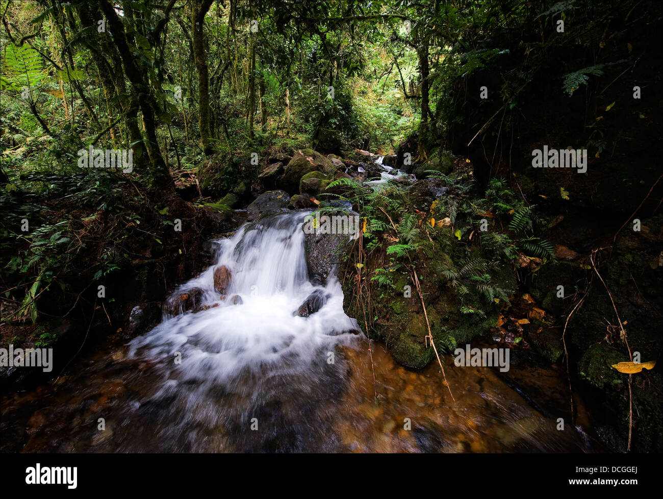 Murmuring rock hi-res stock photography and images - Alamy