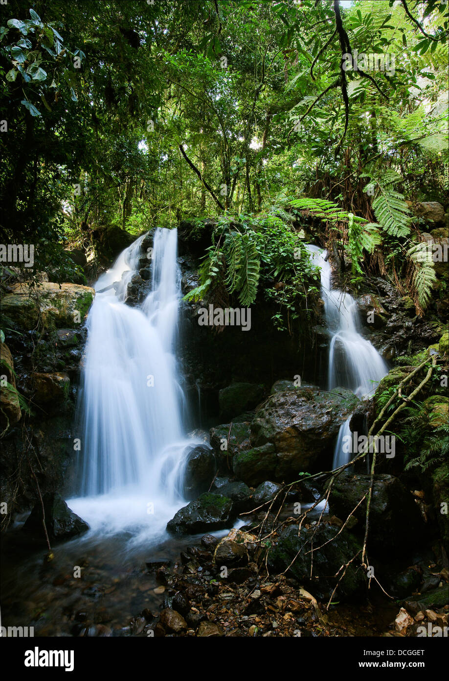 Waterfalls of Bwindi forest. 2 Stock Photo - Alamy
