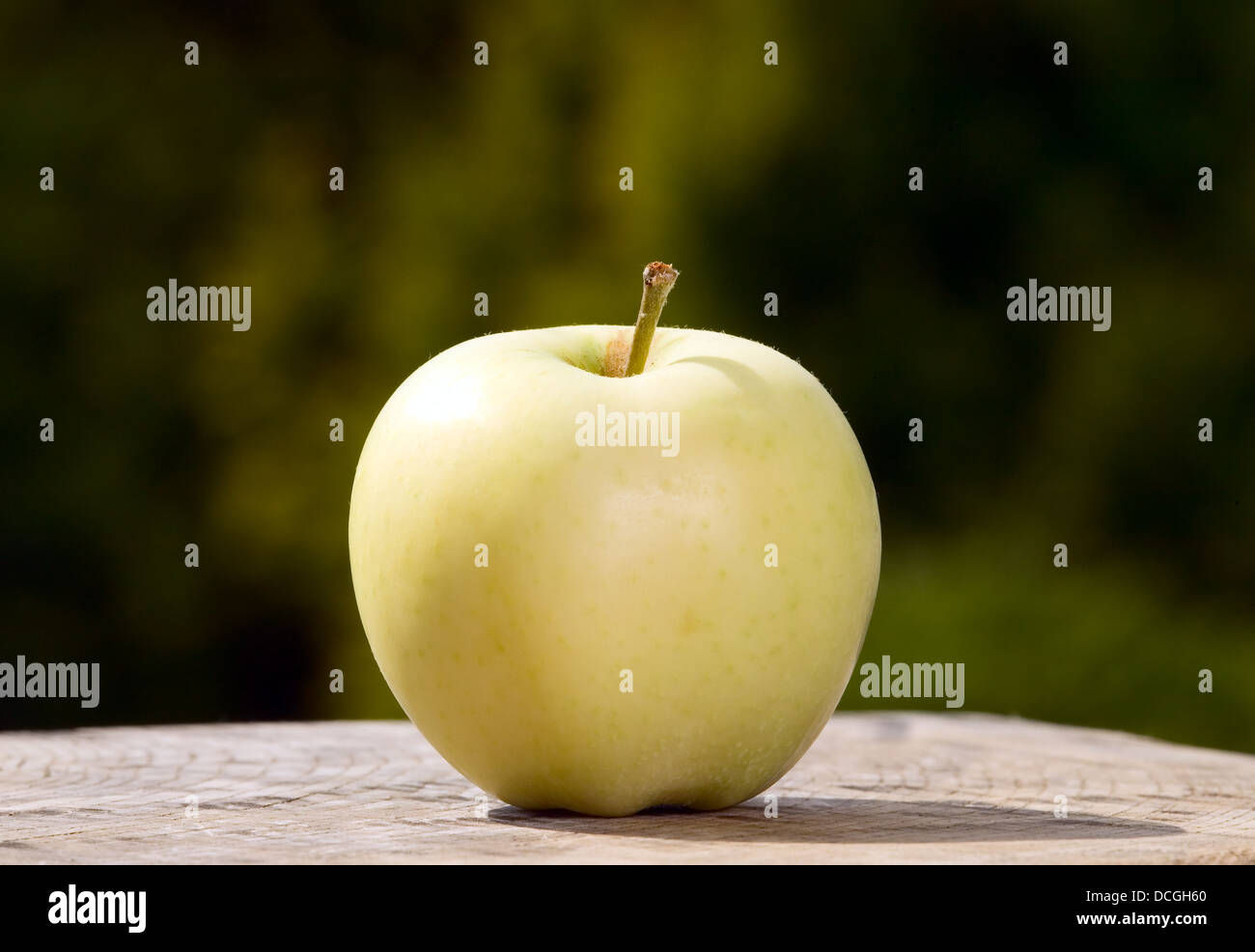 Apple green color hi-res stock photography and images - Alamy