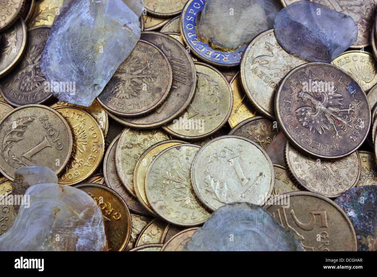 Money pennies and fortunately carp scales Stock Photo - Alamy