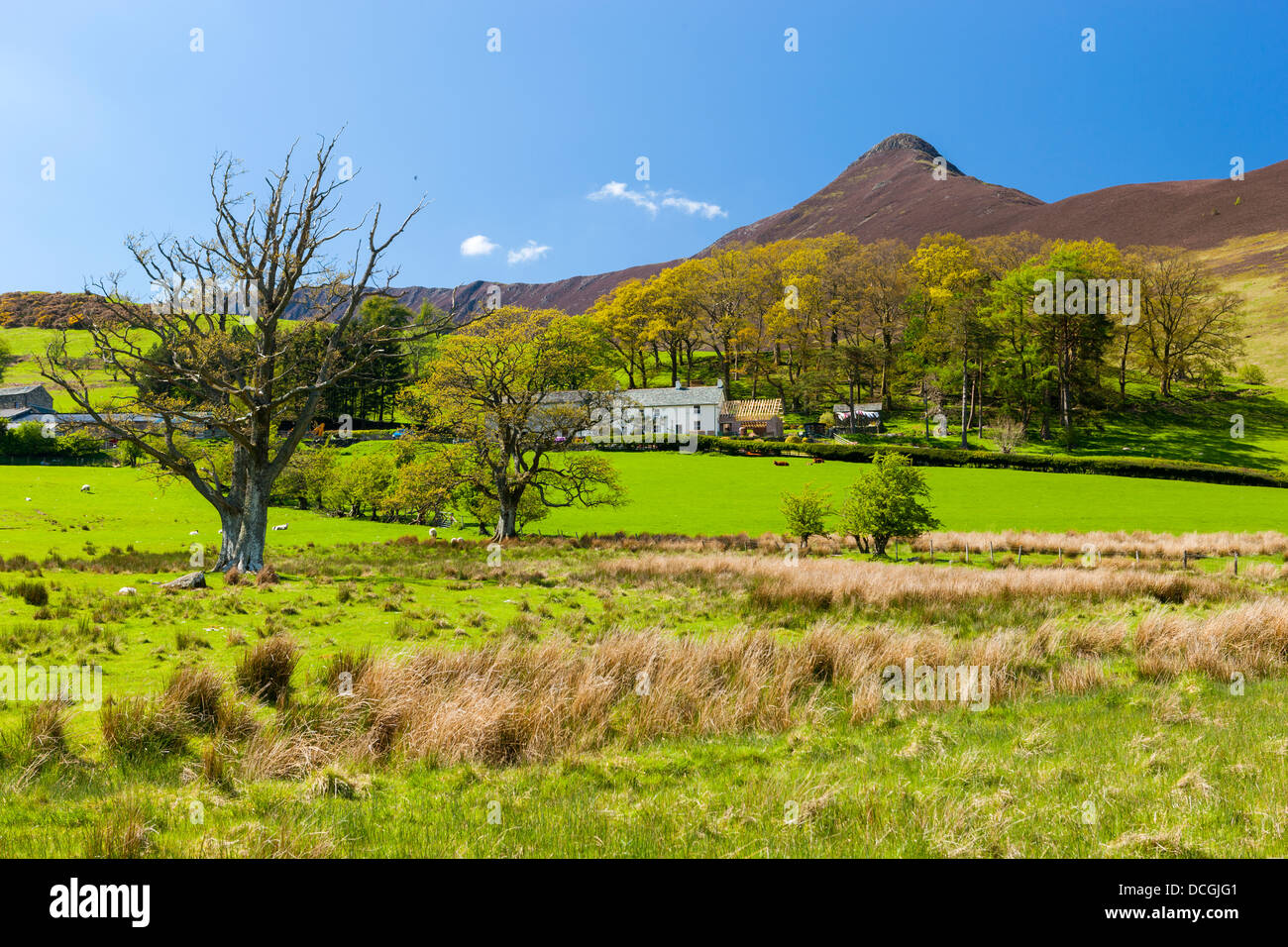 Cumbrian landscape near Newlands, Lake District National Park, Cumbria ...