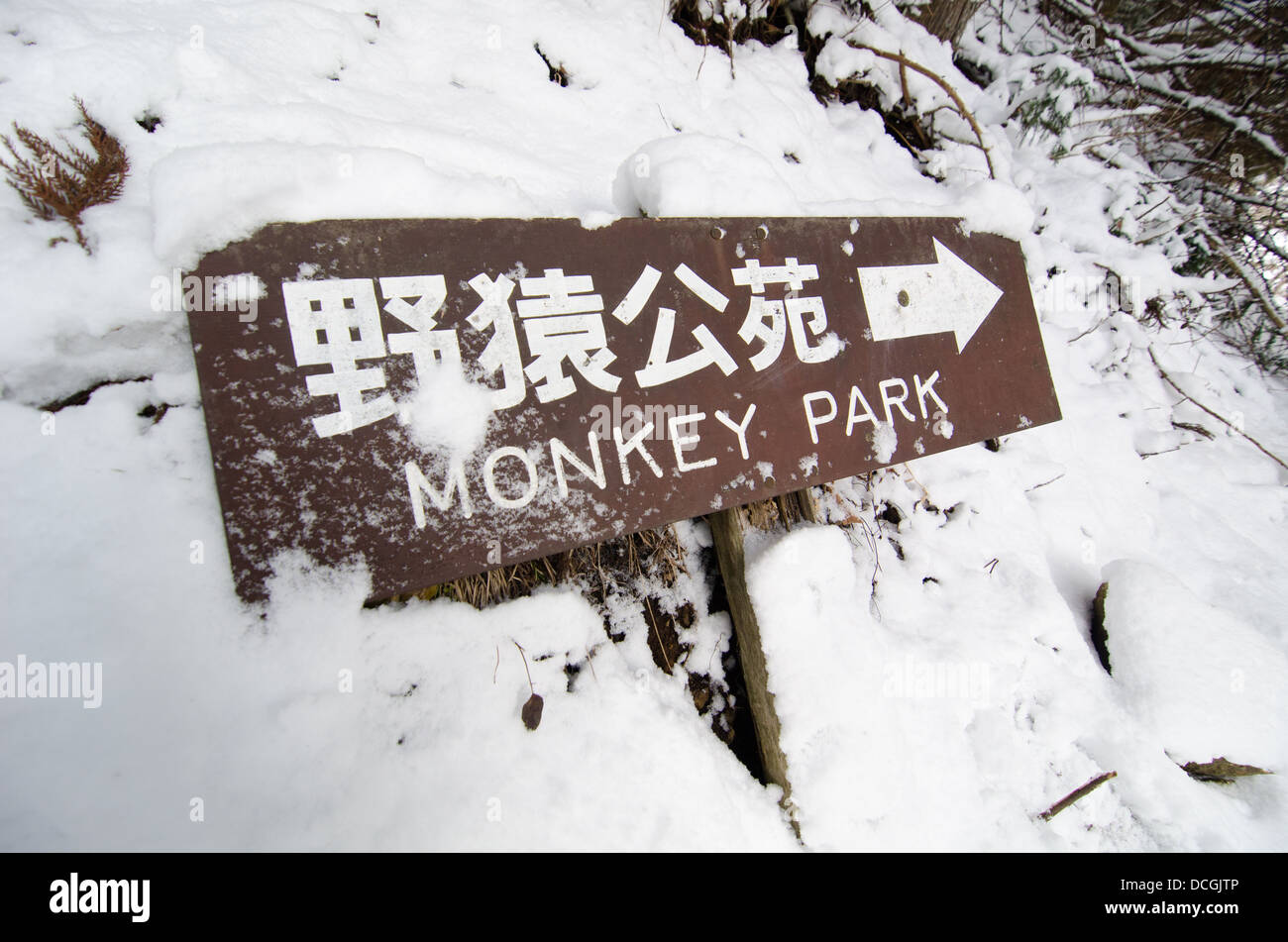 Japanese snow monkeys sign hi-res stock photography and images - Alamy