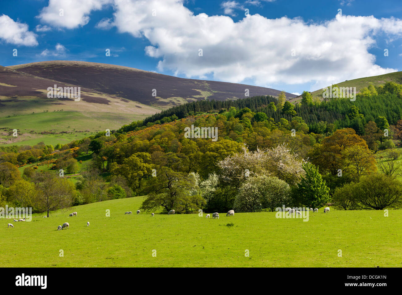 Cumbrian landscape near Keswick, Lake District National Park, Cumbria ...