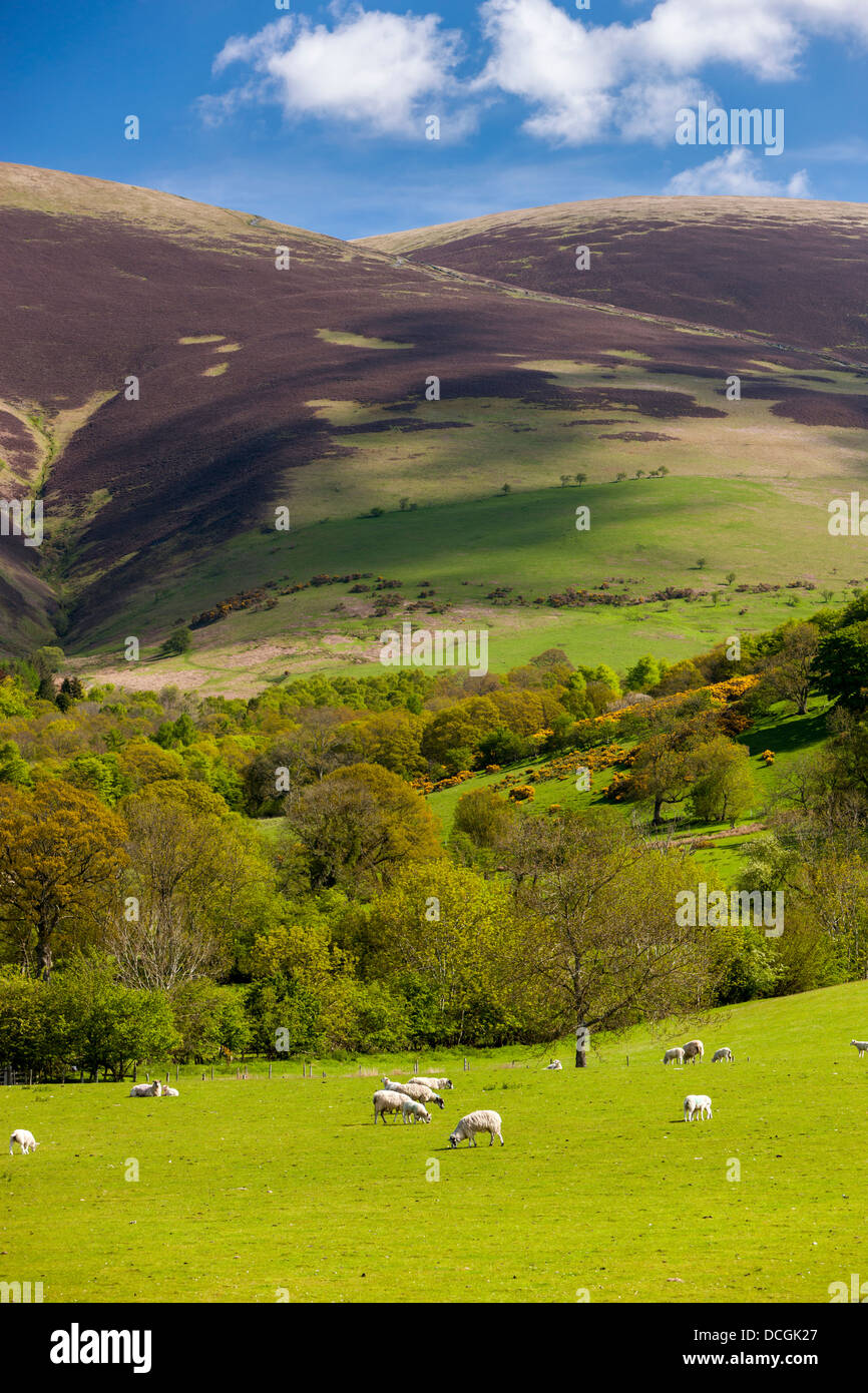 Cumbrian landscape near Keswick, Lake District National Park, Cumbria ...