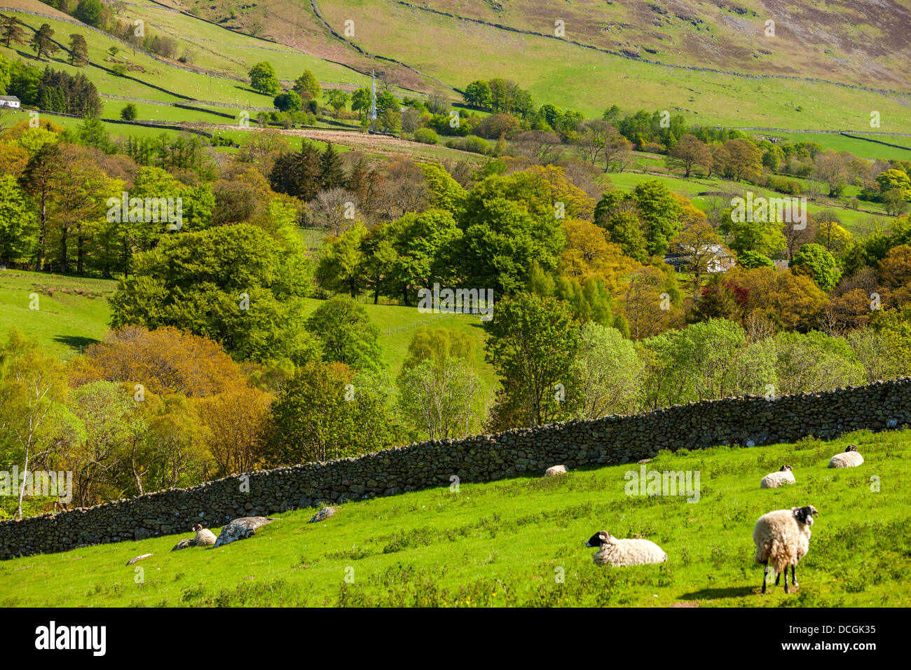Cumbrian landscape near Threlkeld, Lake District National Park, Cumbria ...