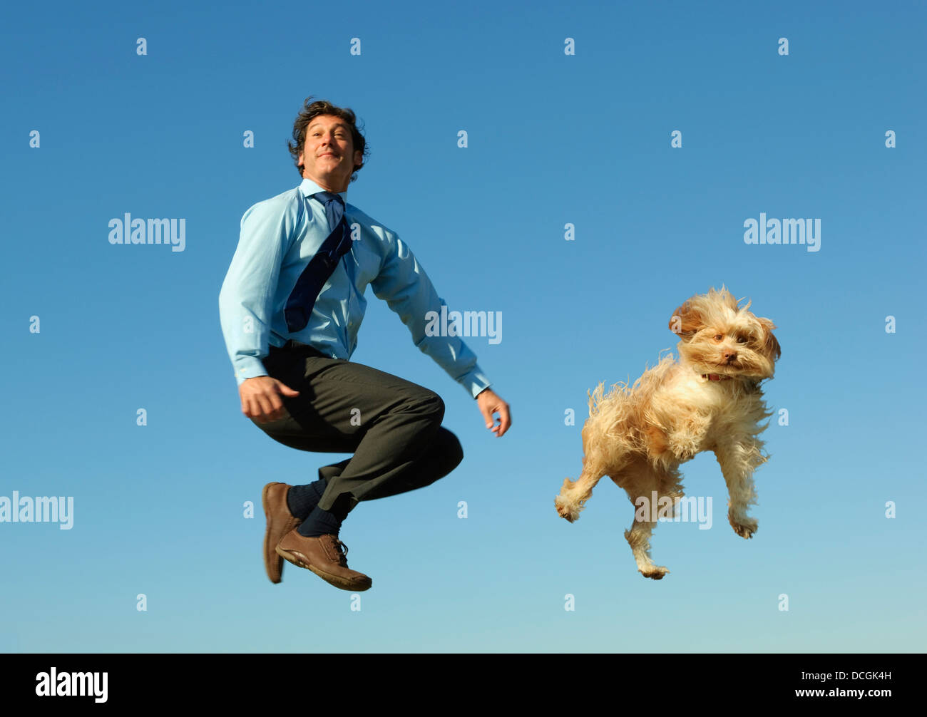 Dog in mid air hi-res stock photography and images - Alamy