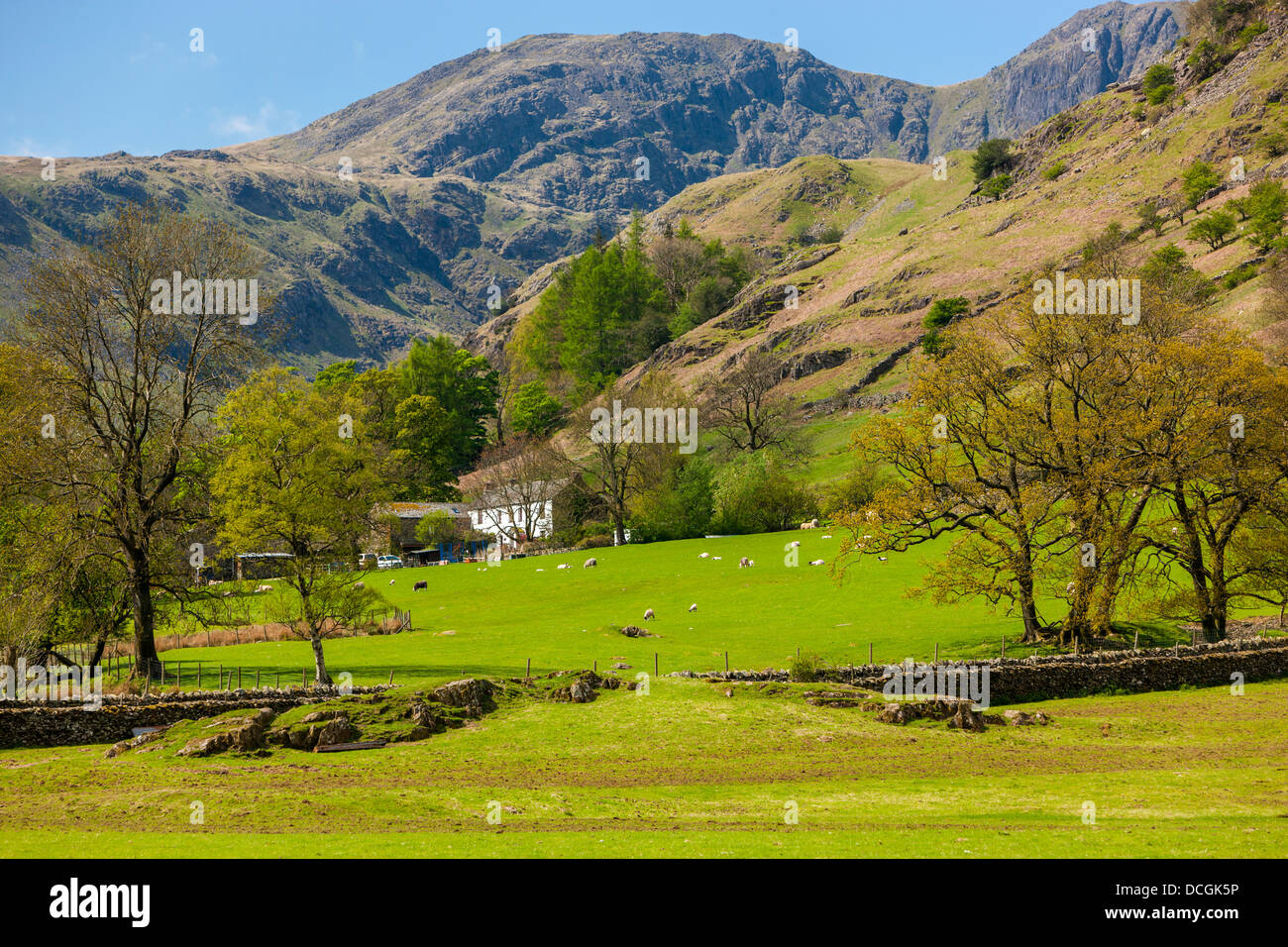 Cumbrian landscape near Patterdale, Lake District National Park ...
