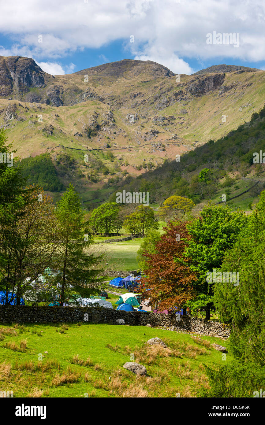 Campsite in Dovedale valley, Lake District National Park, Cumbria ...