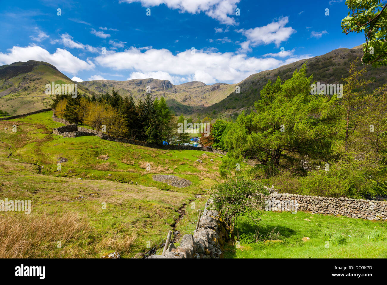 Campsite in Dovedale valley, Lake District National Park, Cumbria ...