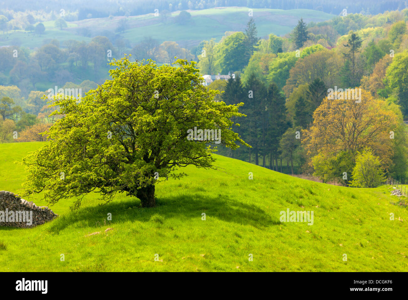 Cumbrian landscape near Hawkshead in the Lake District National Park ...