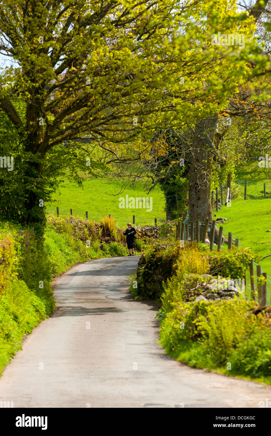Cumbrian landscape near Elterwater in the Lake District National Park ...