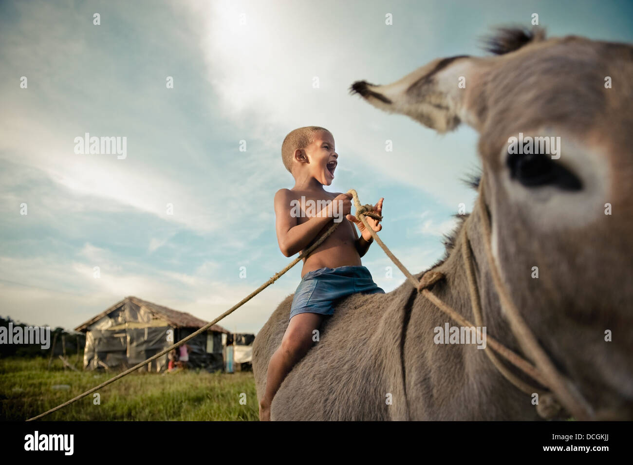 Young Boy Riding Donkey, Brazil Stock Photo - Alamy