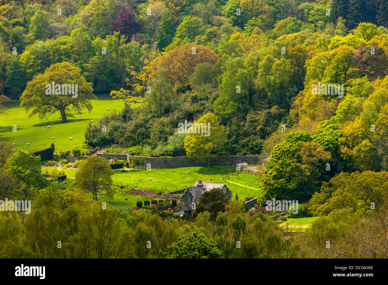 Cumbrian landscape near Broughton in Furness in the Lake District ...