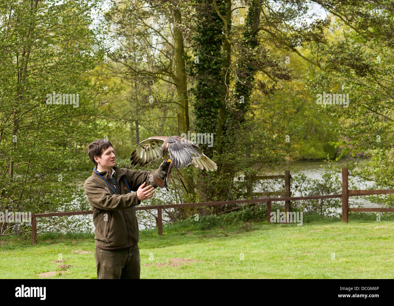 Professional falconer hi-res stock photography and images - Alamy