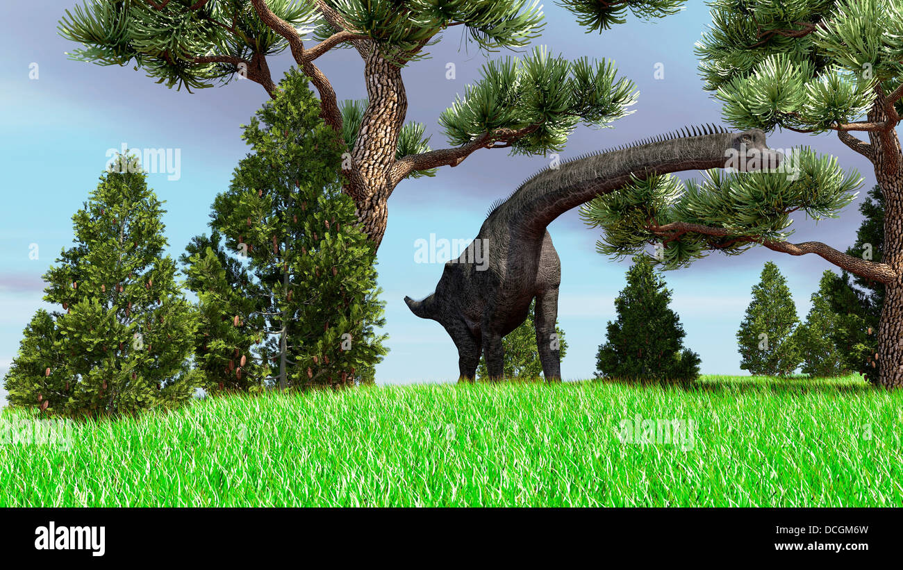 Large Brachiosaurus grazing among trees Stock Photo - Alamy