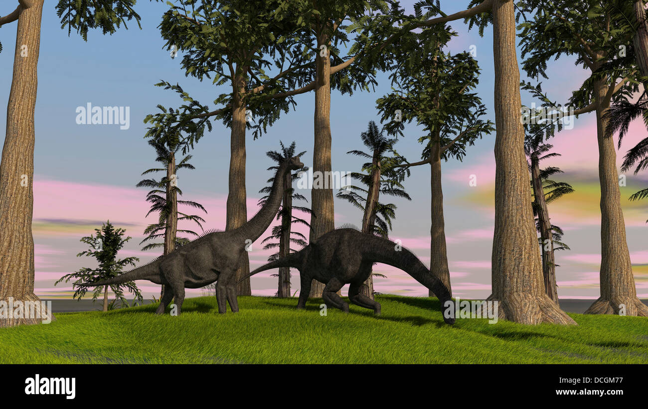 Large Brachiosaurus dinosaurs grazing among trees Stock Photo - Alamy