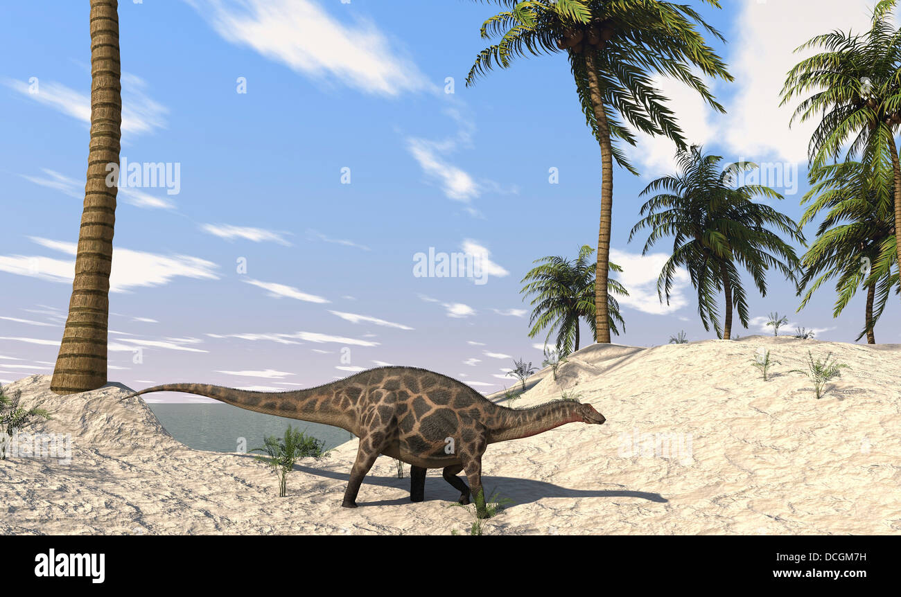 Dicraeosaurus in prehistoric environment hi-res stock photography and ...