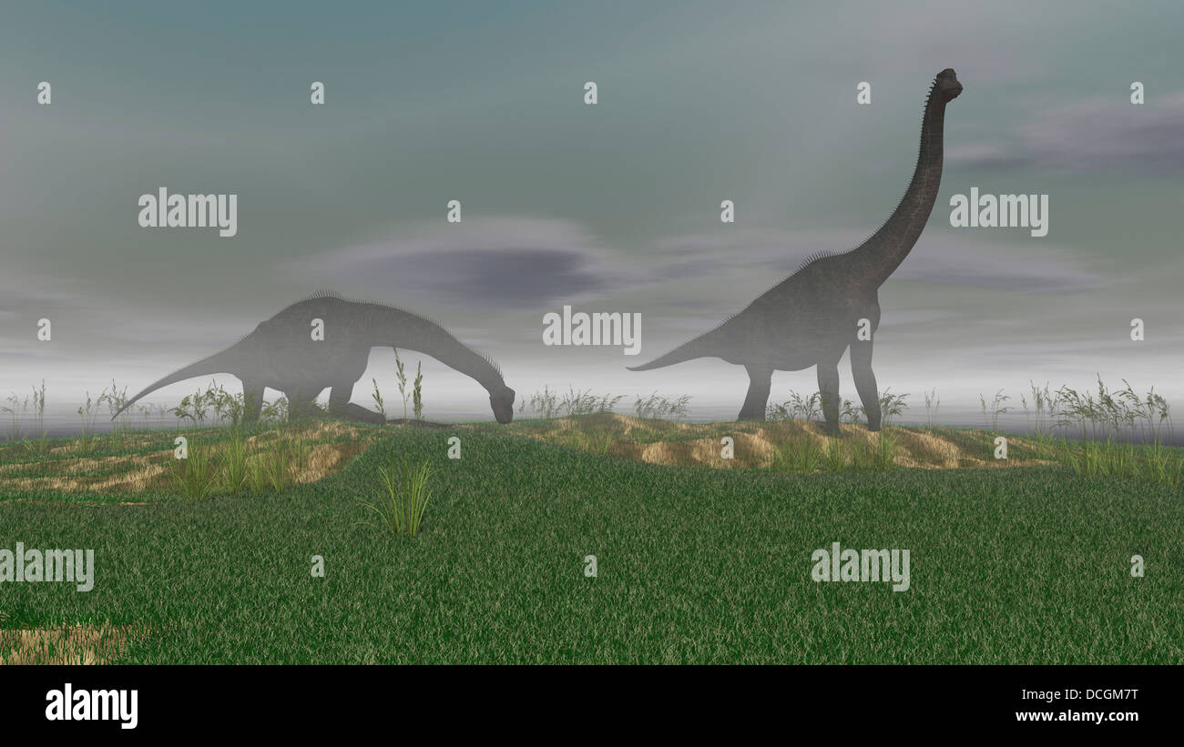 Two Brachiosaurus dinosaurs grazing in the mist Stock Photo - Alamy
