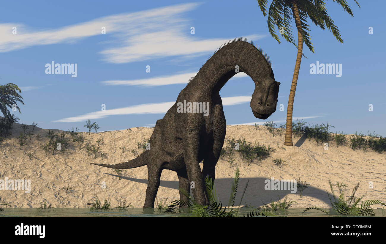 Large brachiosaurus standing in water hi-res stock photography and ...