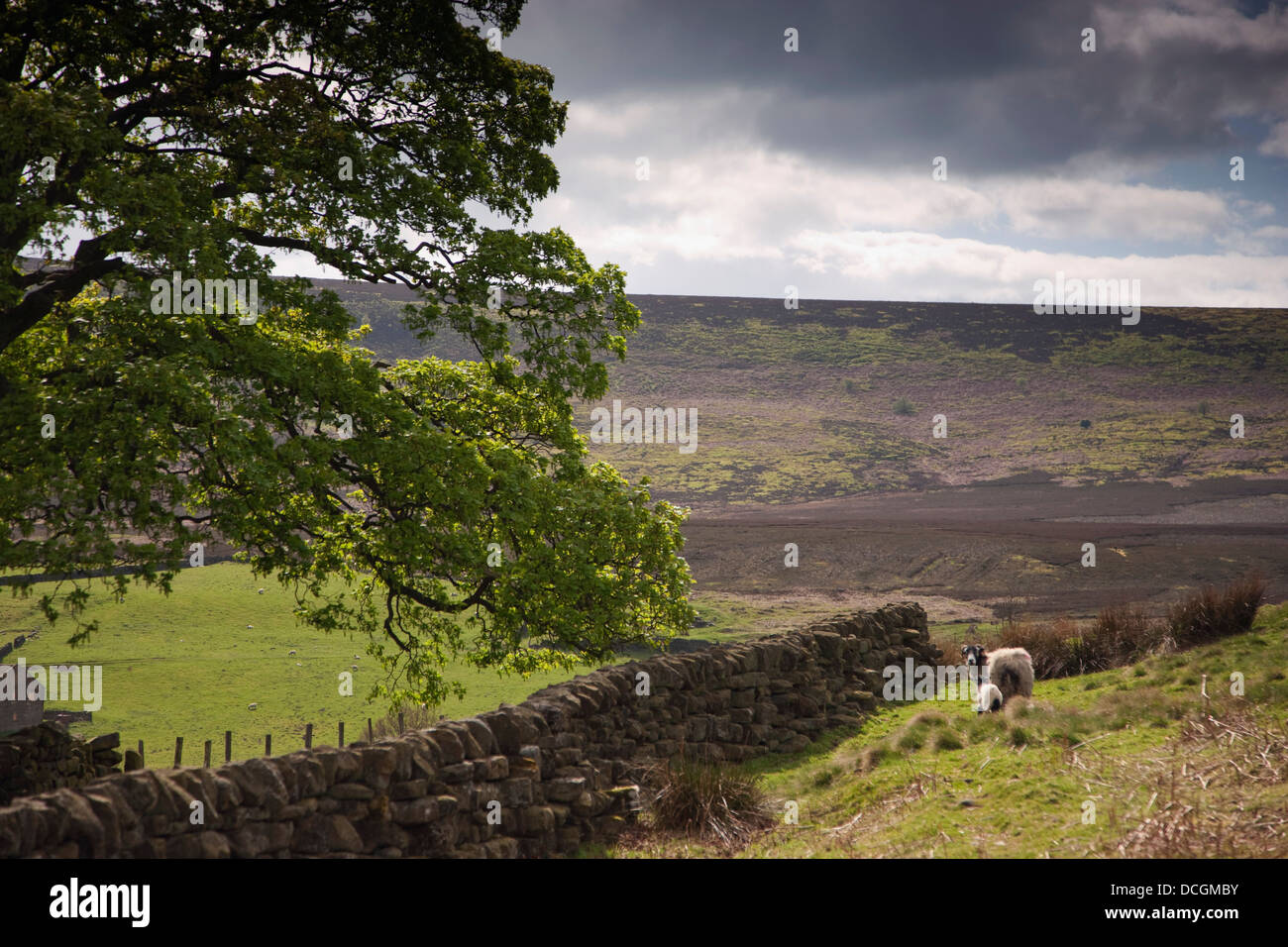 Rural Scene, North Yorkshire, England Stock Photo - Alamy