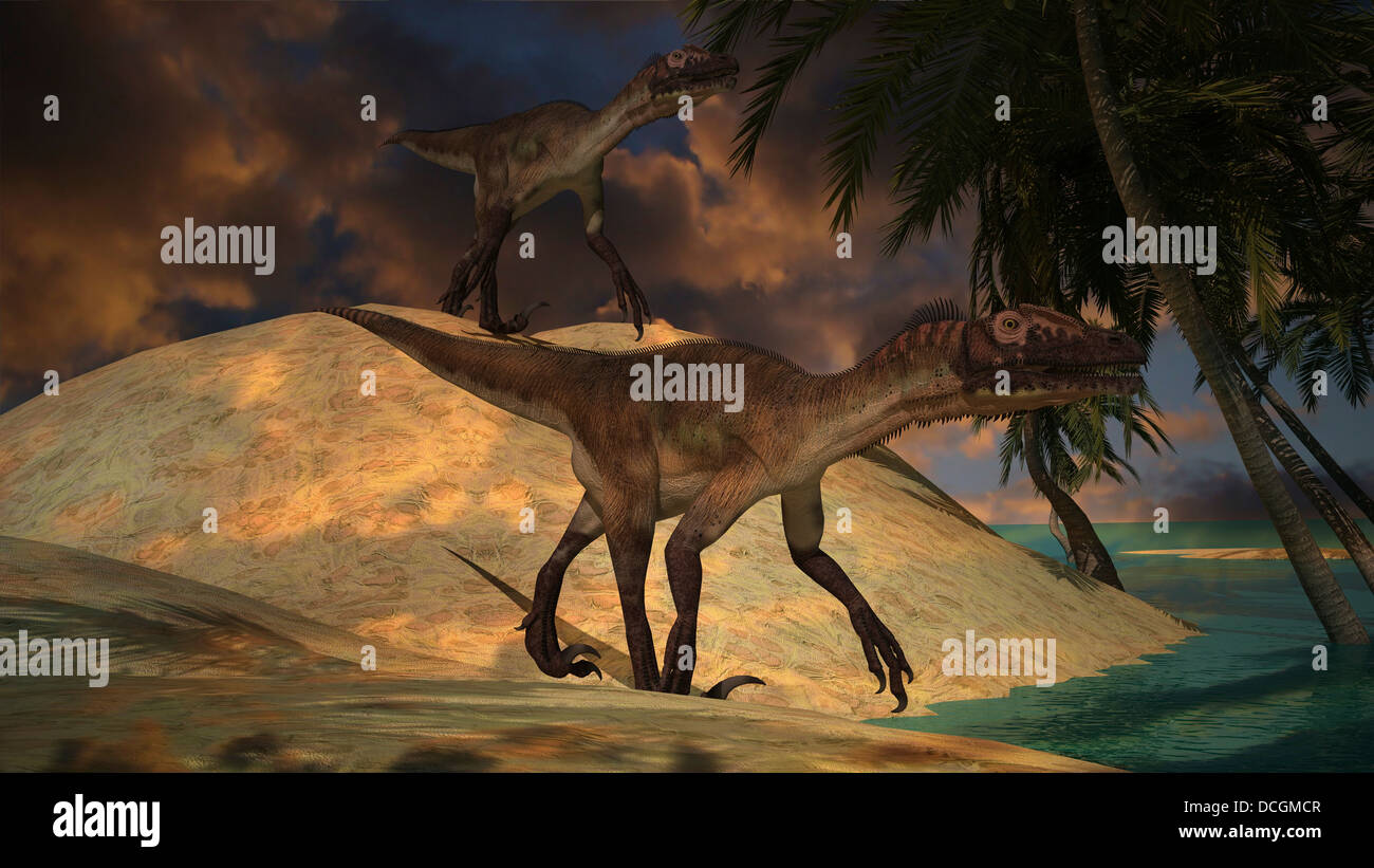 Pair of Utahraptors hunting for food at sunset Stock Photo - Alamy