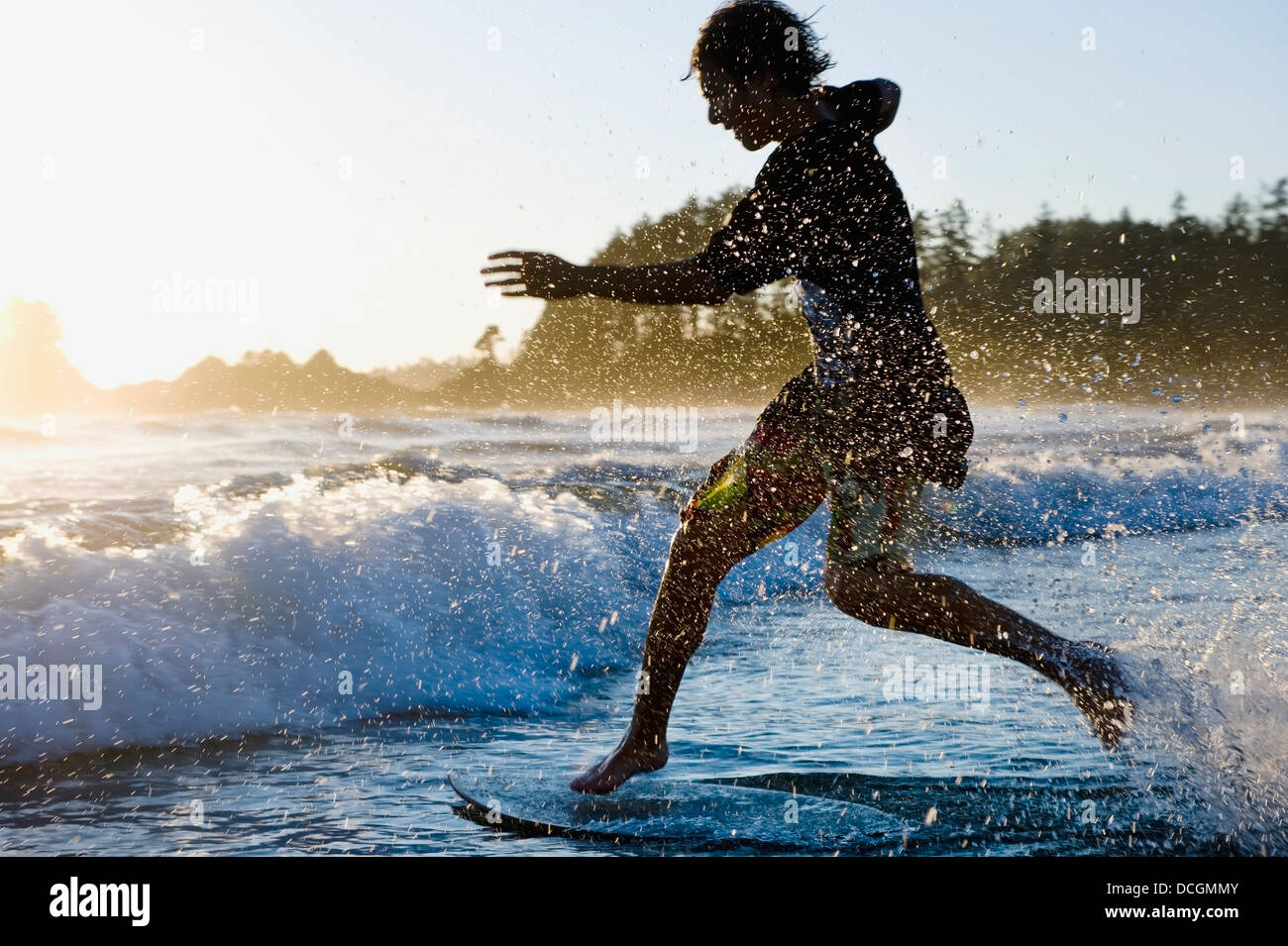 Skimming trees hi-res stock photography and images - Alamy